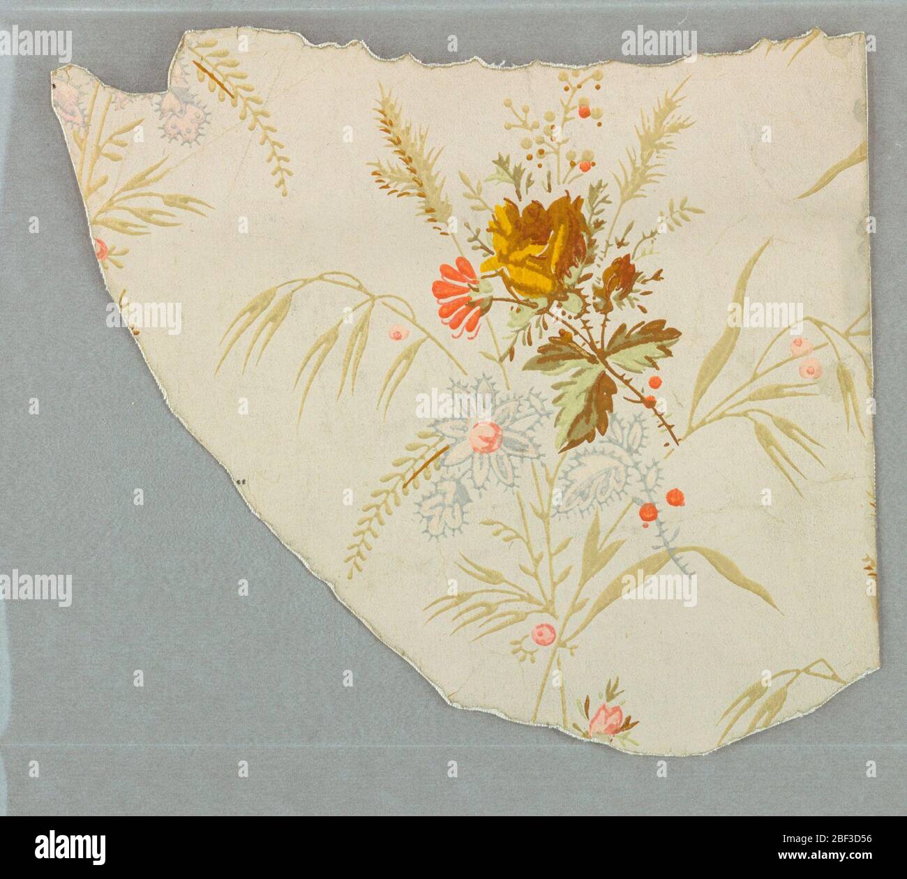 Sidewall fragment. Spray of flowers and grasses. Printed in colors on ...