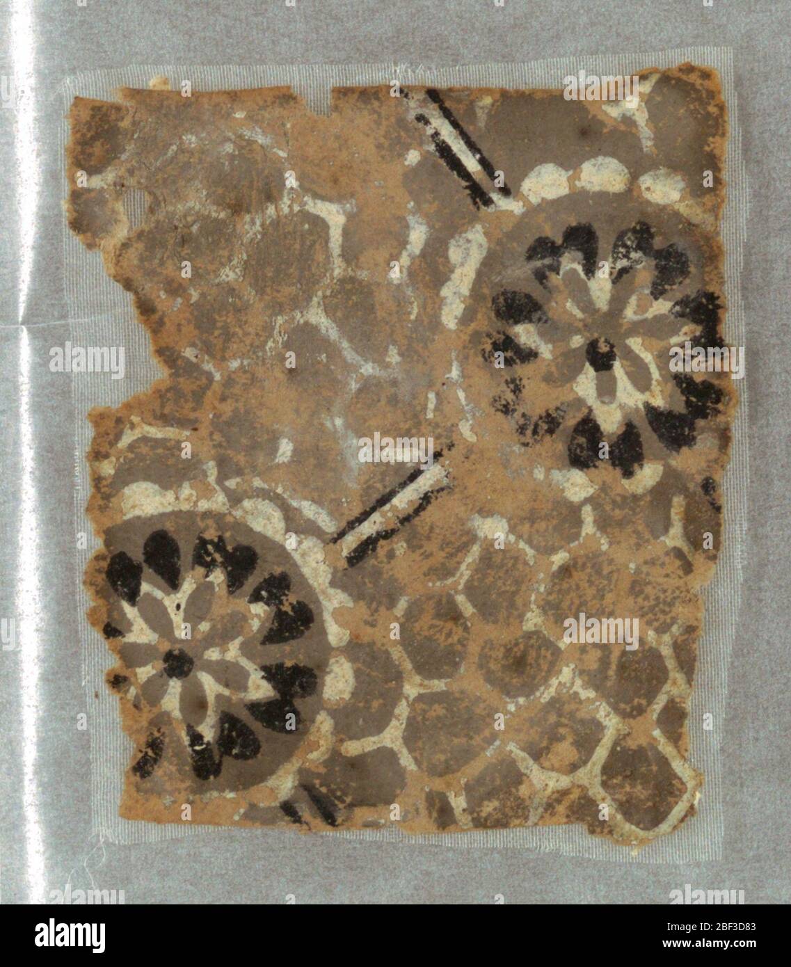 Irregular honeycomb pattern hi-res stock photography and images - Alamy
