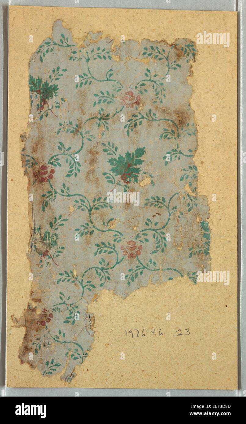 Sidewall. Small pattern of meandering green vines connected by red ...