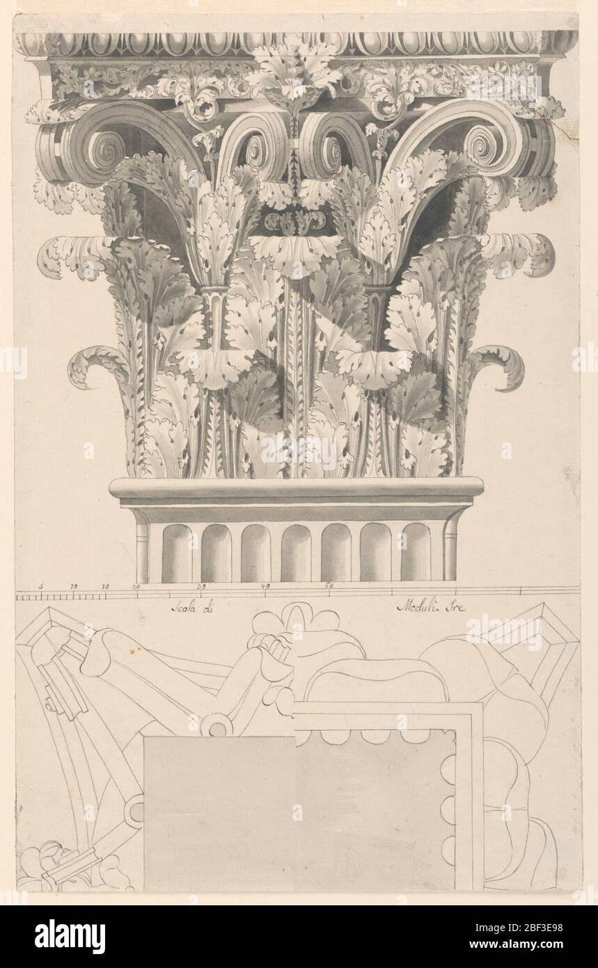 Scale Rendering of a Composite Order Capital. Neoclassical ornamental ...