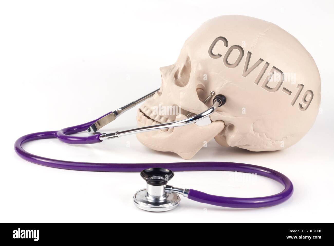 Human skull with COVID-19 engraved signifying coronavirus as cause of ...