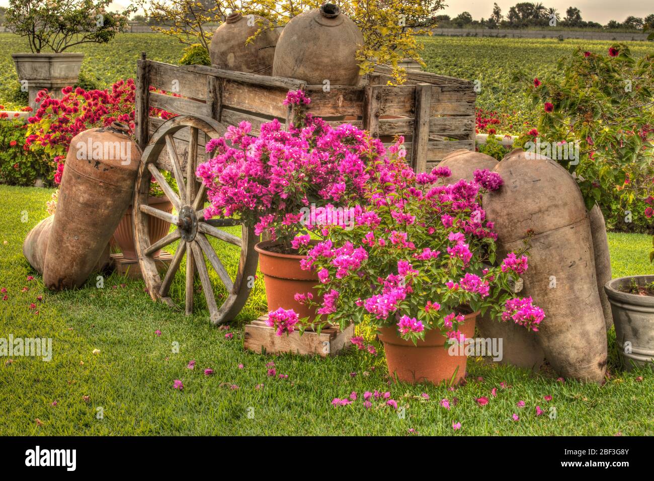 Wooden cart with ancient wine jugs Stock Photo - Alamy