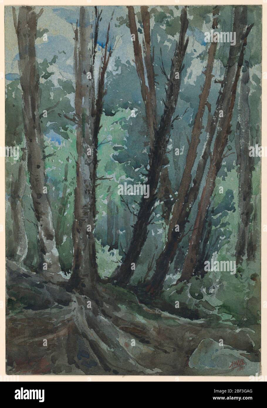 Thick foliage indicated hi-res stock photography and images - Alamy