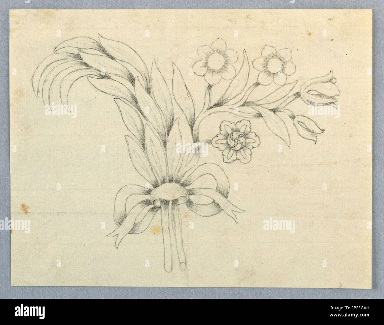 Design for a Brooch with Flowers. A leaf bough and various kinds of ...