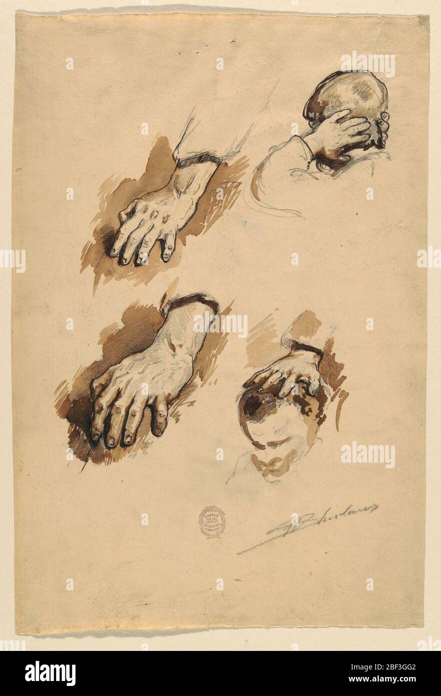 Studies of Hands. Left: two left hands shown from above. Right: above ...