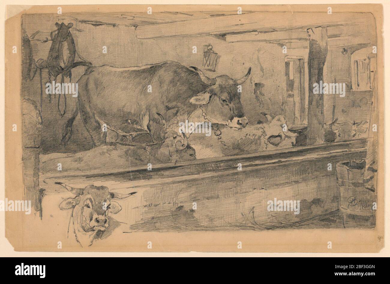 Sheepshearing shed hi-res stock photography and images - Alamy