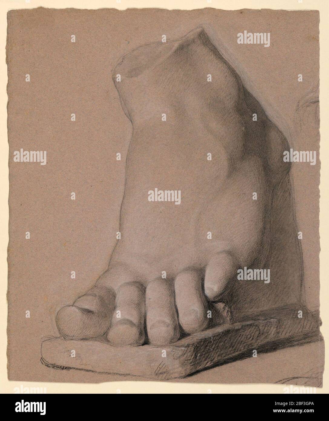 Left Foot From a Plaster. Study of a left foot with heel raised ...