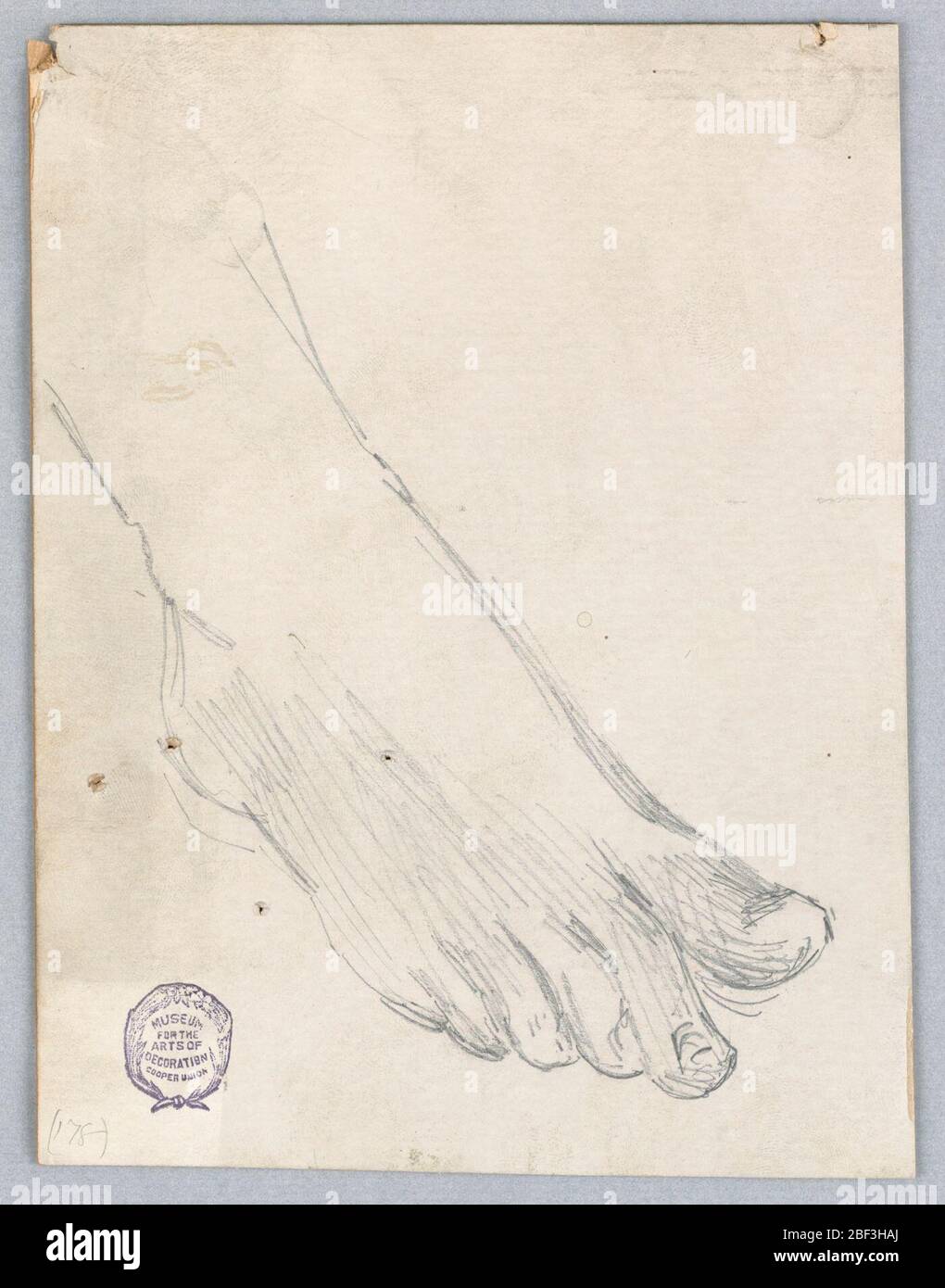 Study of Right Foot. Sketch of a right foot and ankle, from slightly ...
