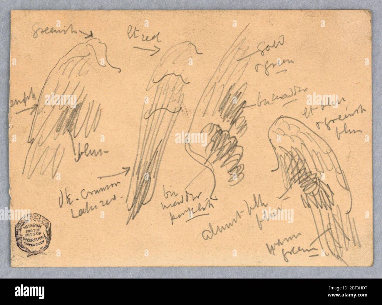 Sketches of Wings. Four sketches of wings, with notes on colors Stock ...