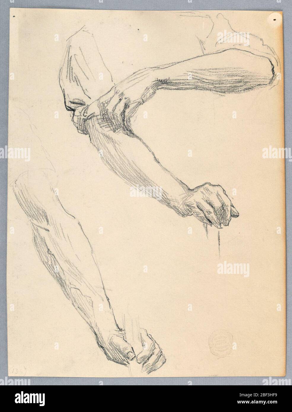 Human arm anatomy hi-res stock photography and images - Alamy