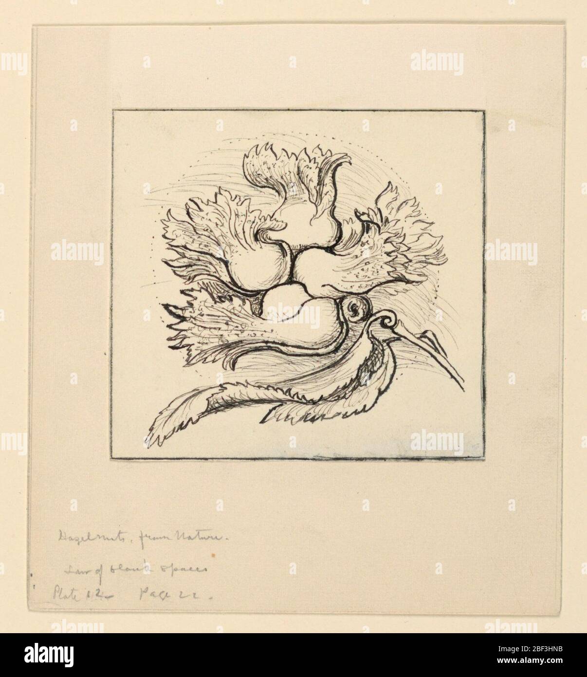 Frame leaves drawing lines hi-res stock photography and images - Alamy