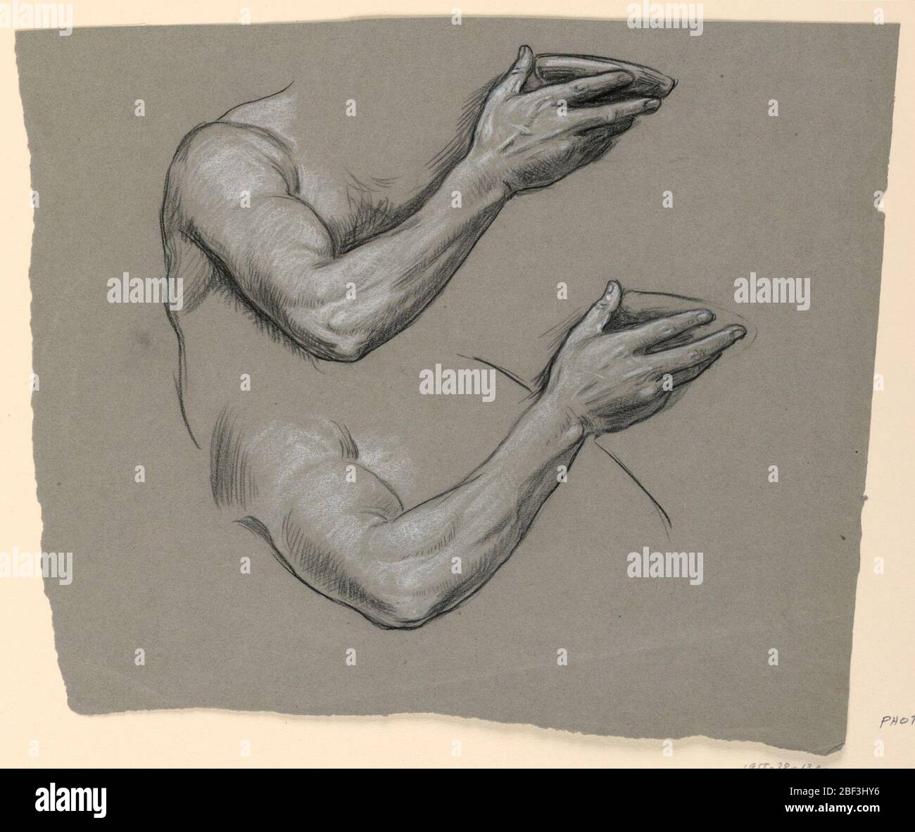 Study of arm. Two sketches of a male figure's right hand holding a ...