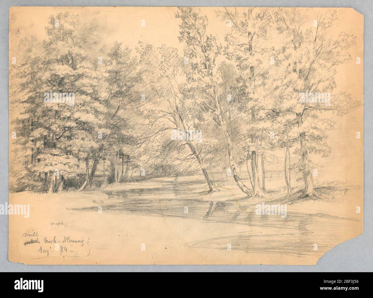 Lower specimen features hi-res stock photography and images - Alamy