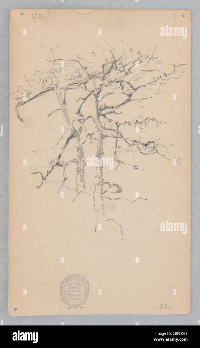 Tree Branch. Partial sketch of a tree branch Stock Photo - Alamy