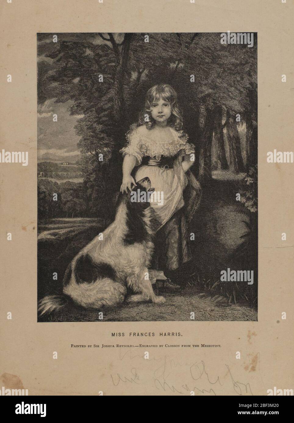 Miss Frances Harris Stock Photo - Alamy