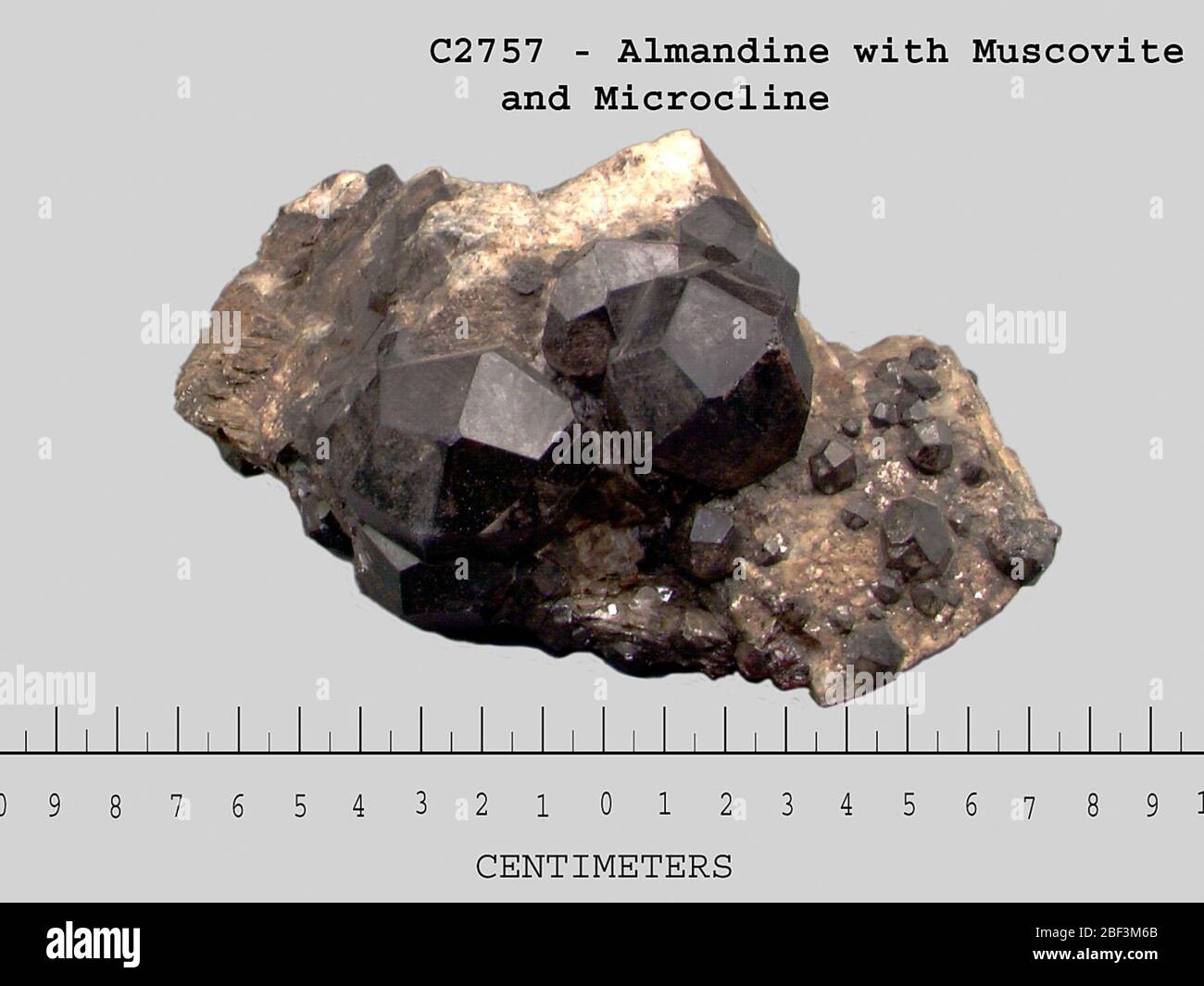 Almandine gemstone hi-res stock photography and images - Alamy