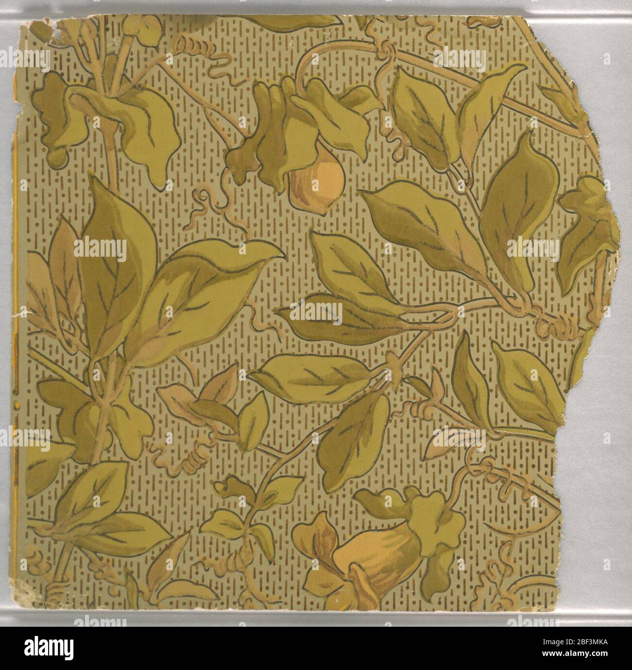 Sidewall sample. Fragmentary wallpapers from sample book, including ...