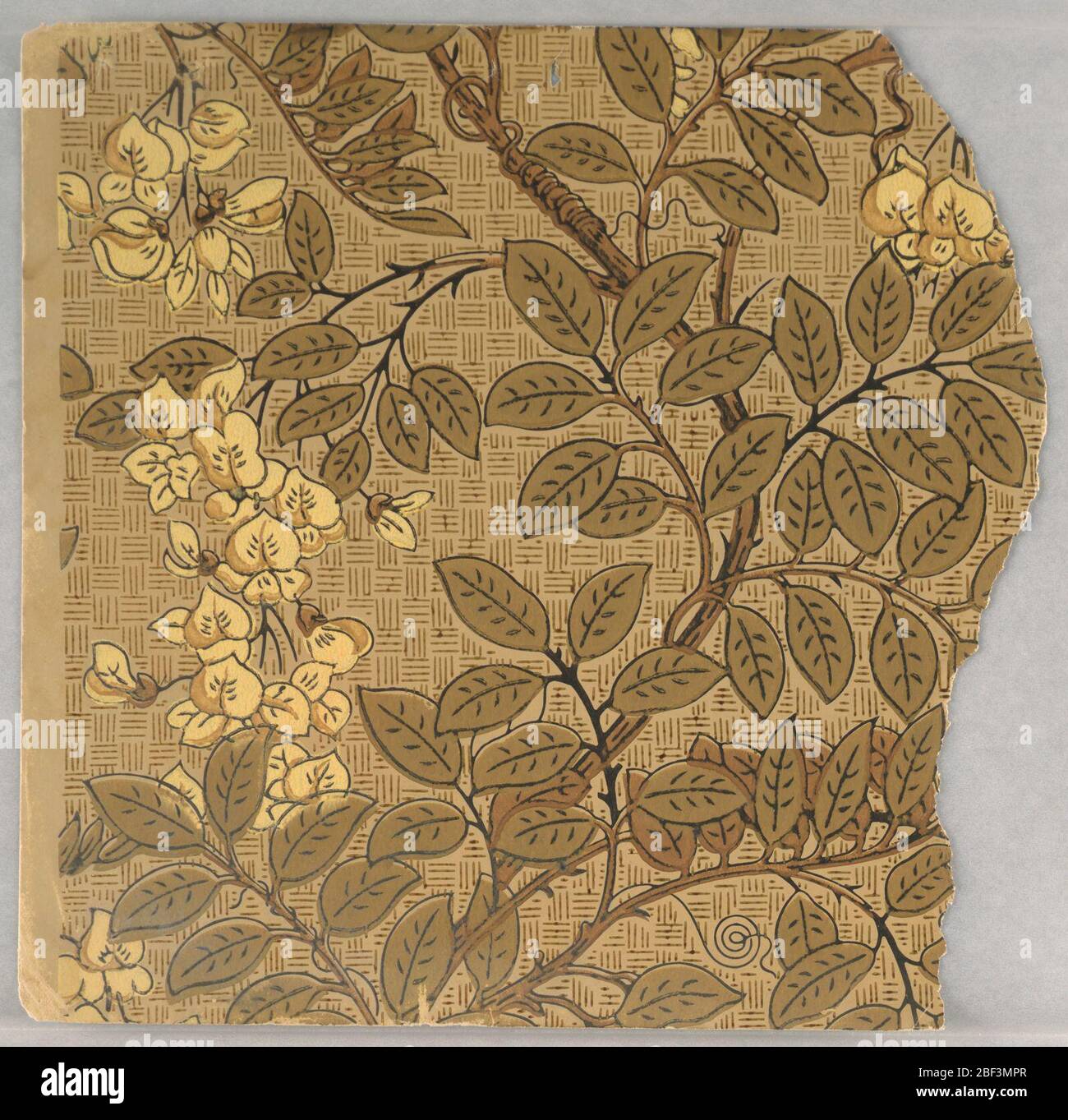 Sidewall sample. Fragmentary wallpapers from sample book, including ...