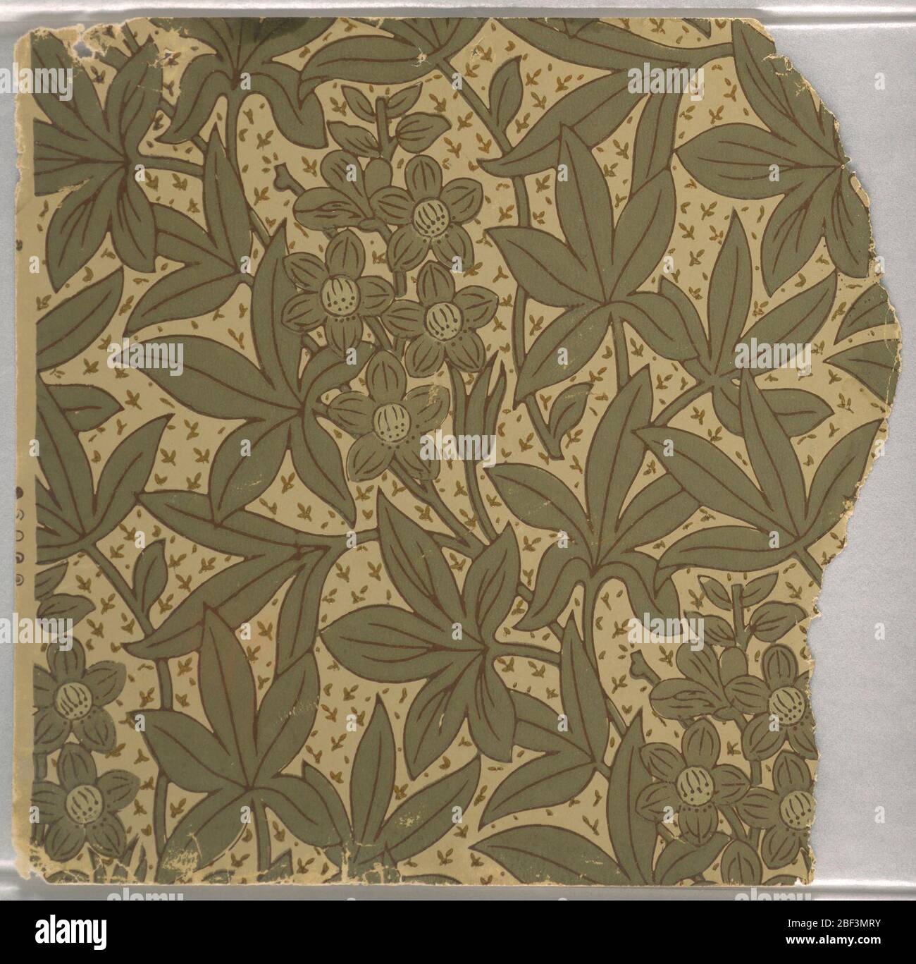 Sidewall sample. Fragmentary wallpapers from sample book, including ...