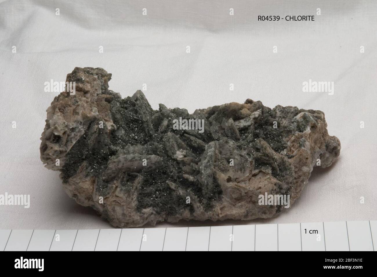 Chlorite hi-res stock photography and images - Alamy