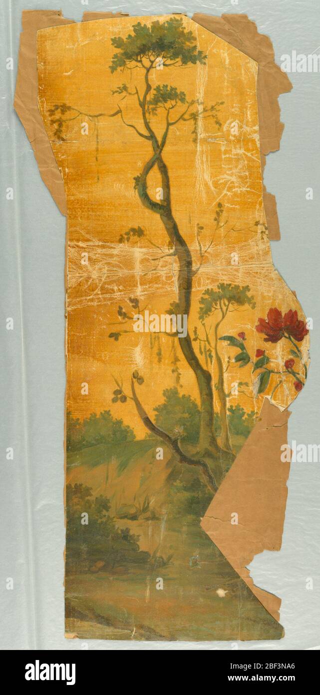 Spindly tree hi-res stock photography and images - Alamy