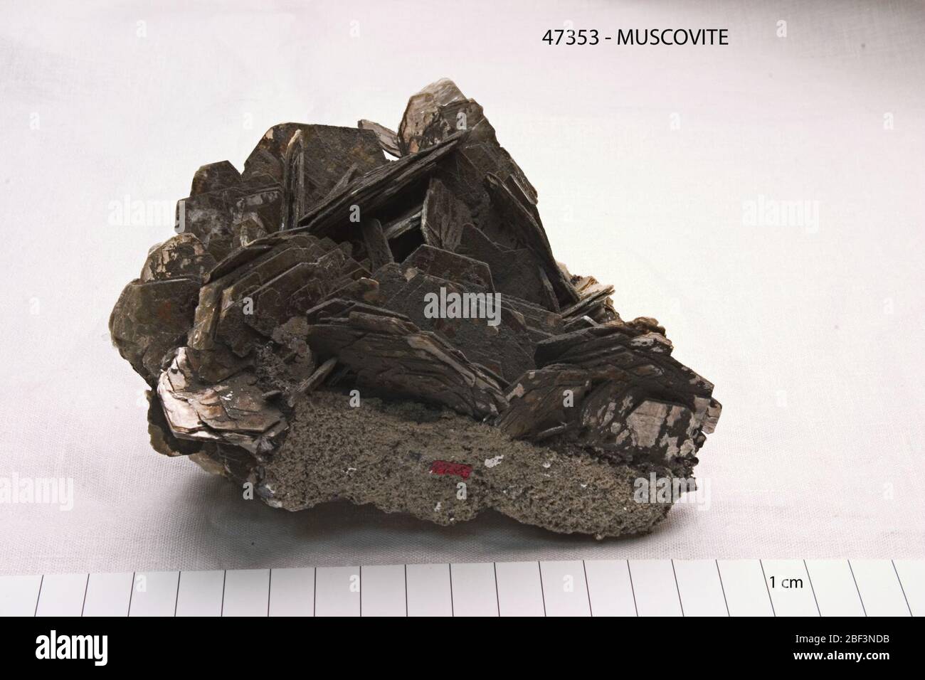 Muscovite crystal hi-res stock photography and images - Alamy