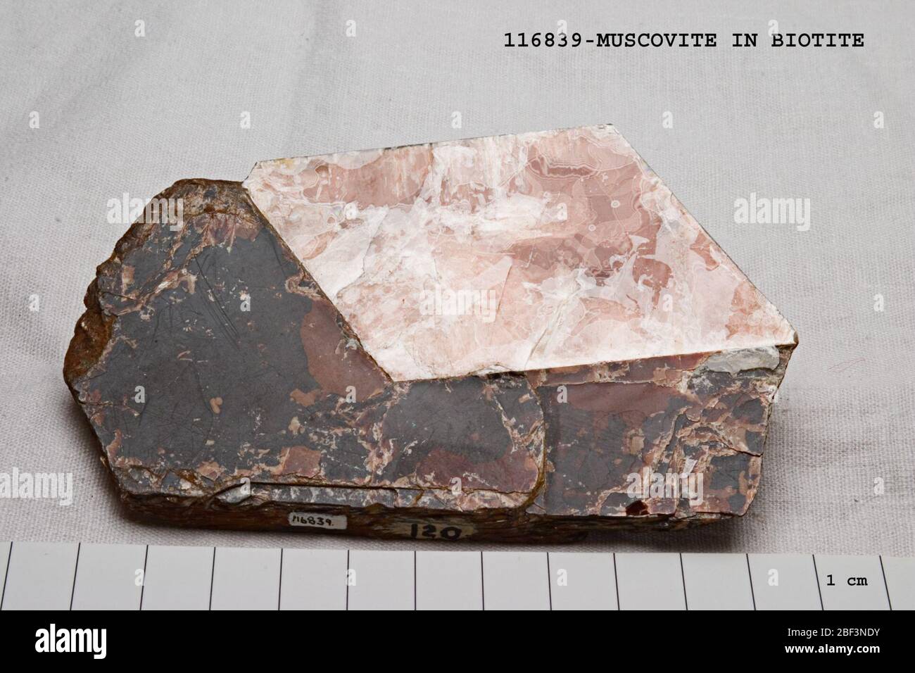 Muscovite. 30 Jun 201651354841 Stock Photo - Alamy