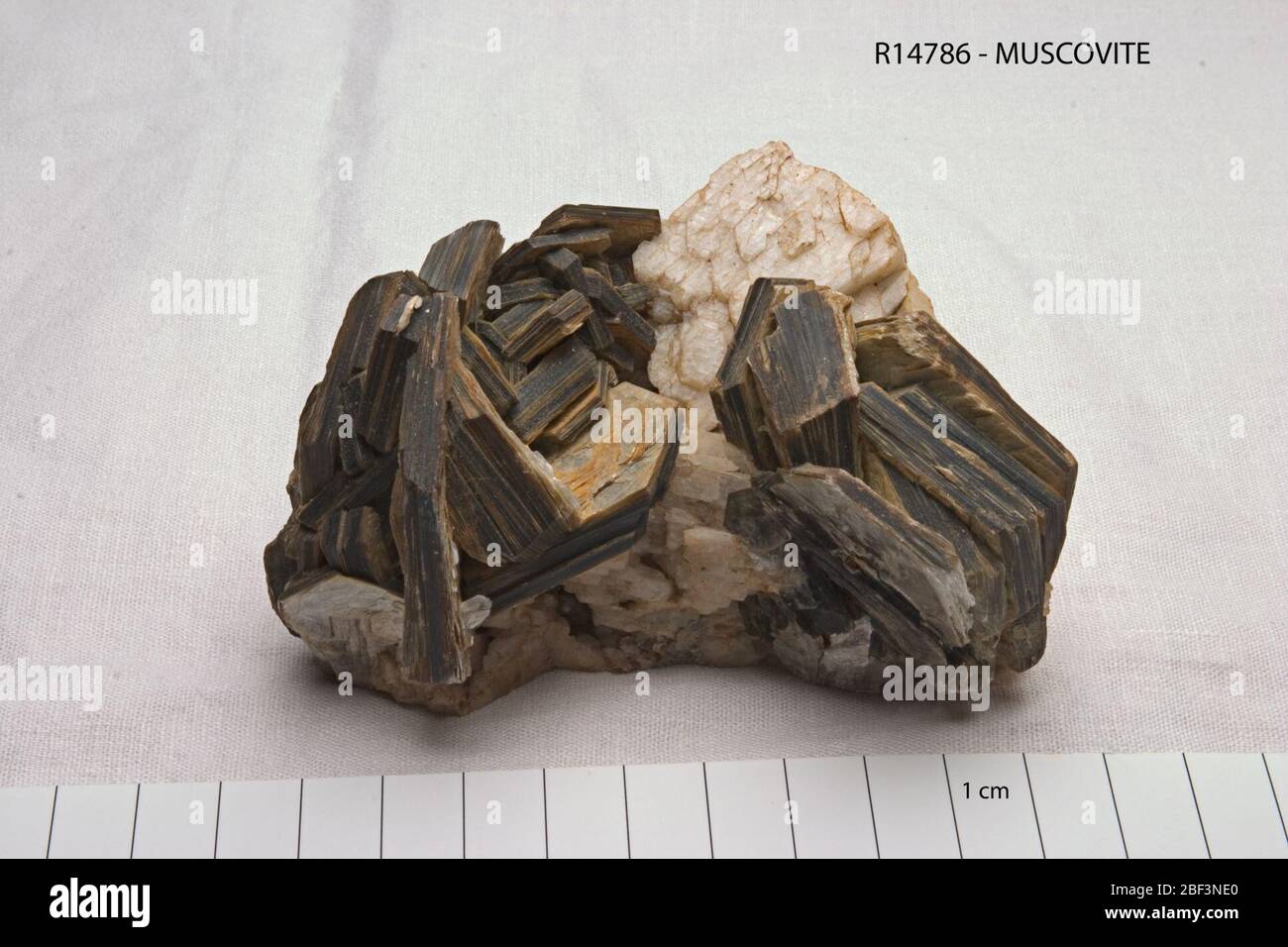 Muscovite crystal hi-res stock photography and images - Alamy