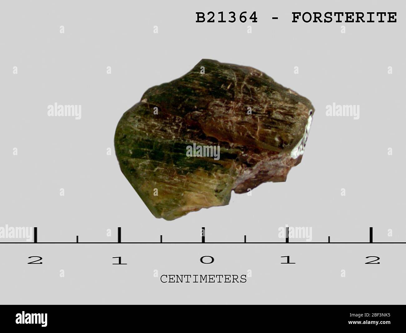 Forsterite. 30 Jun 20163579941 Stock Photo - Alamy