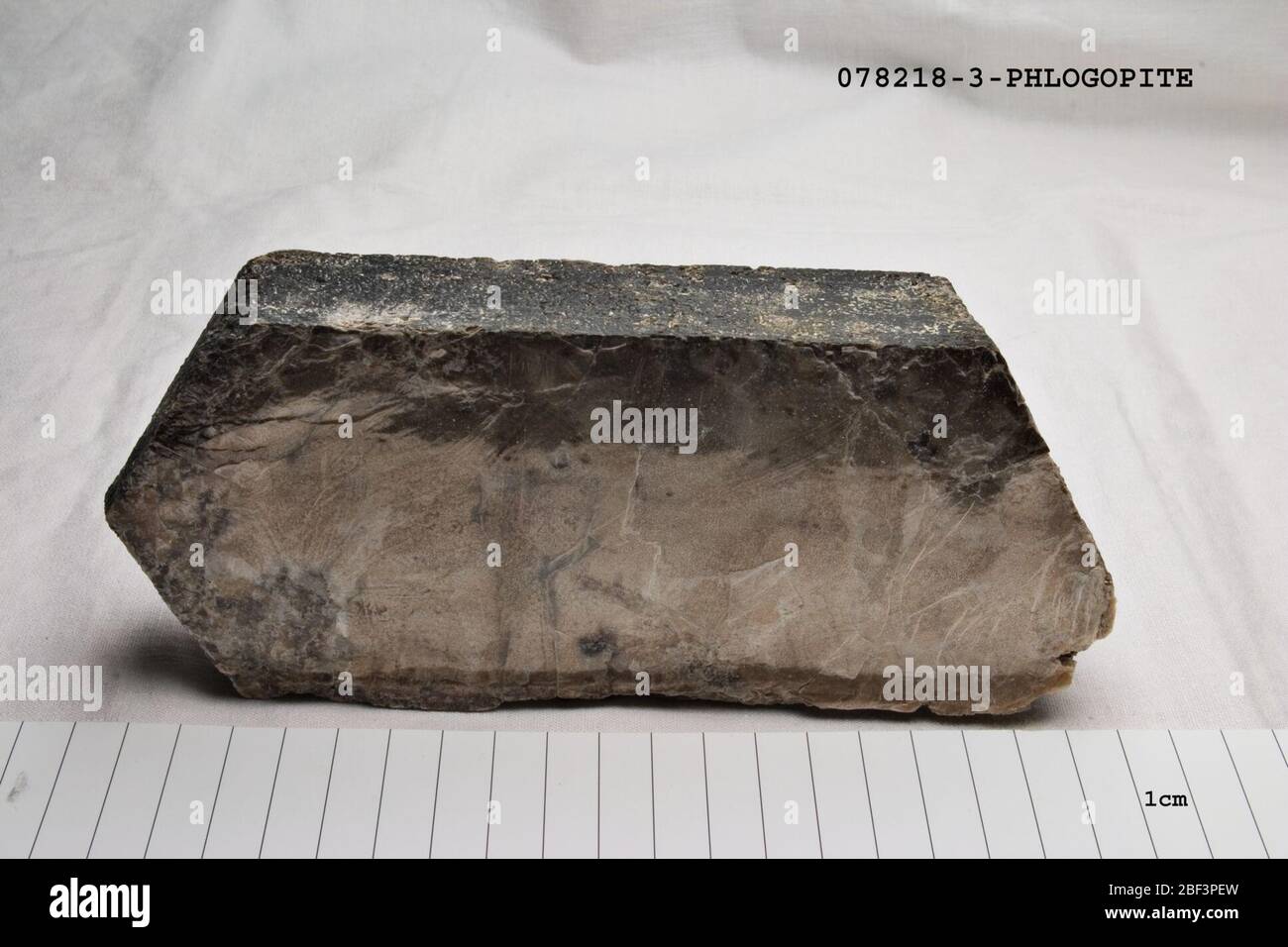 Phlogopite hi-res stock photography and images - Alamy