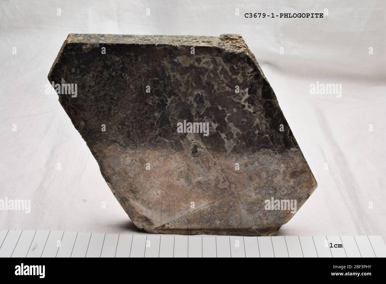 Phlogopite hi-res stock photography and images - Alamy