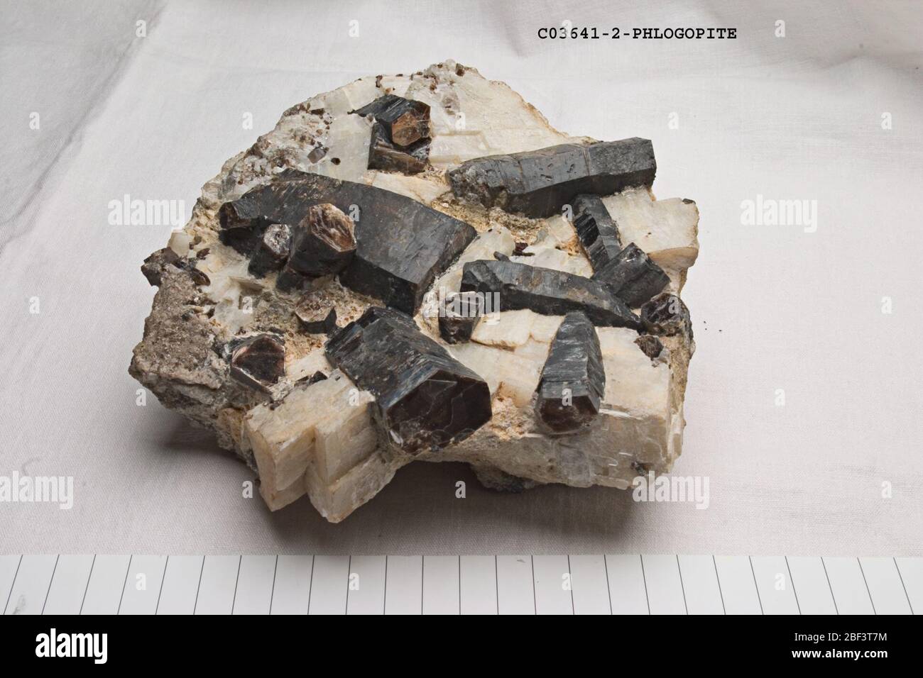 Phlogopite hi-res stock photography and images - Alamy