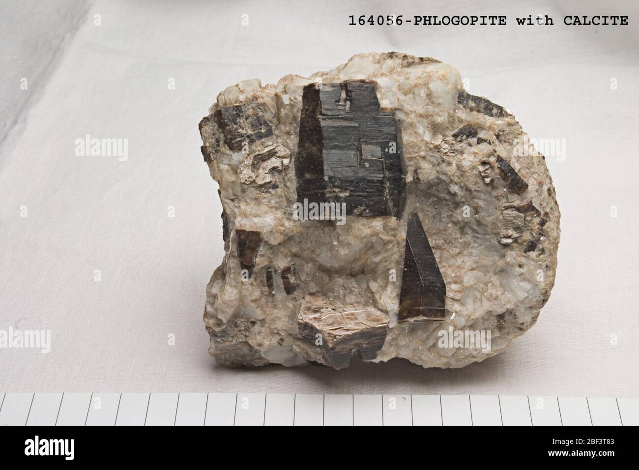 Phlogopite hi-res stock photography and images - Alamy