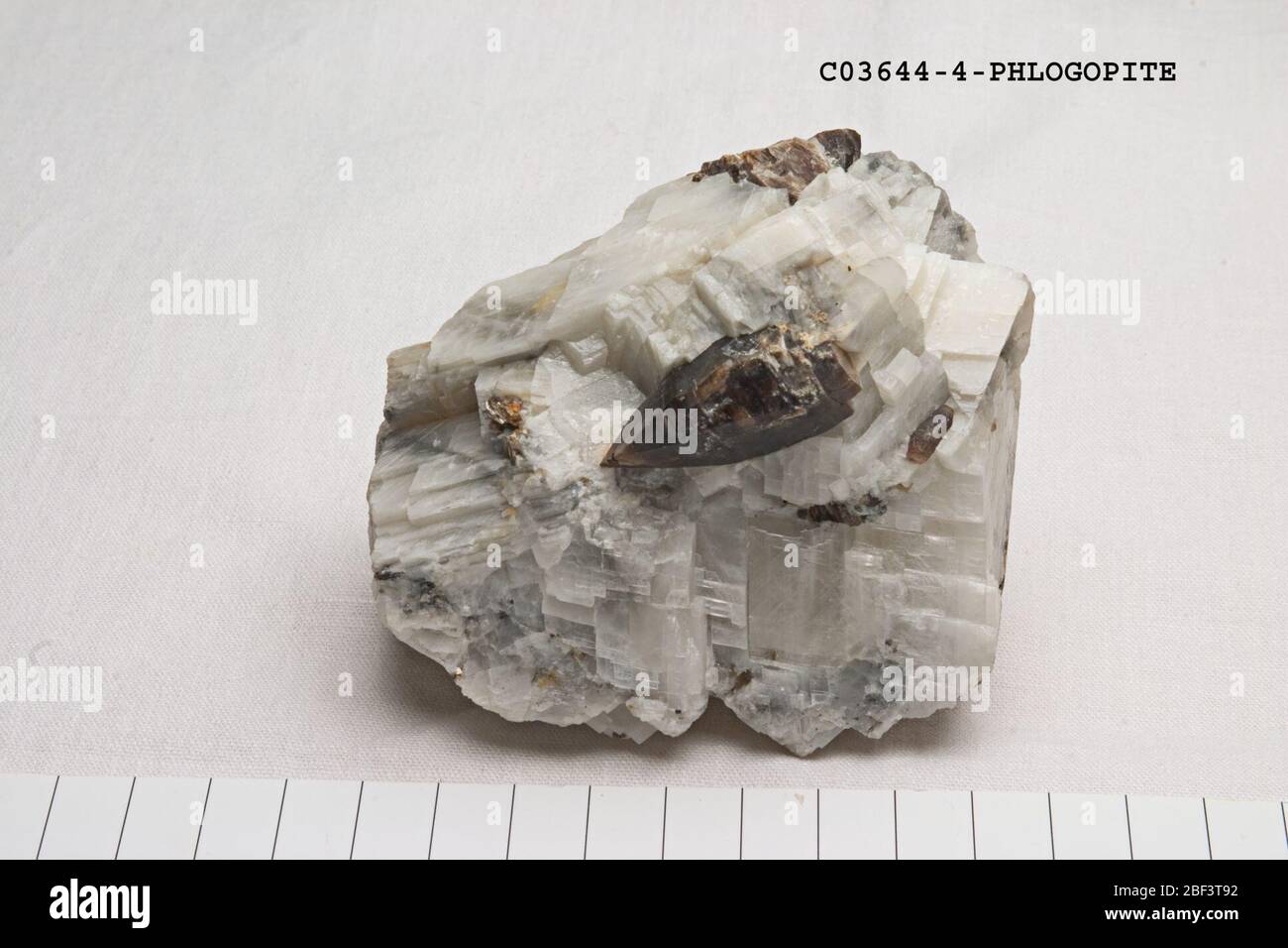 Phlogopite hi-res stock photography and images - Alamy