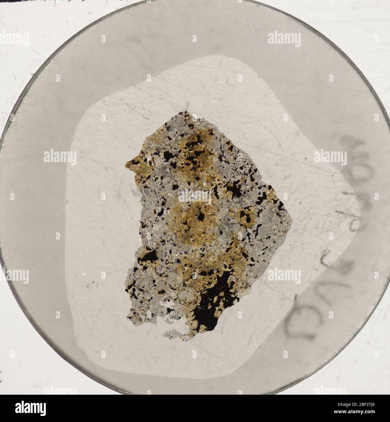 Polarized micrograph hi-res stock photography and images - Alamy