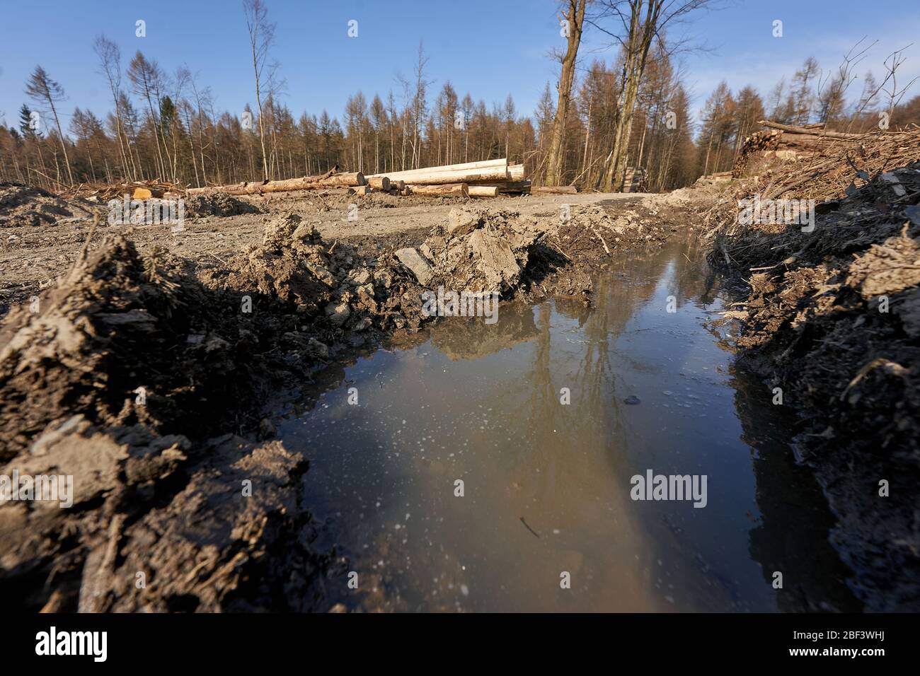 Hiking in westerwald hi-res stock photography and images - Alamy