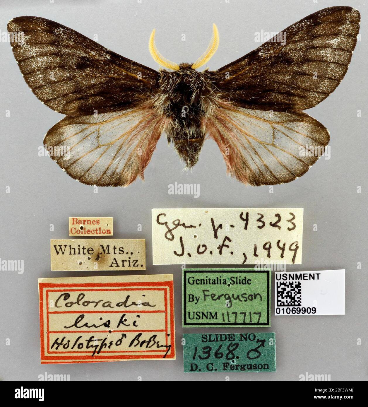 14 jun hi-res stock photography and images - Alamy