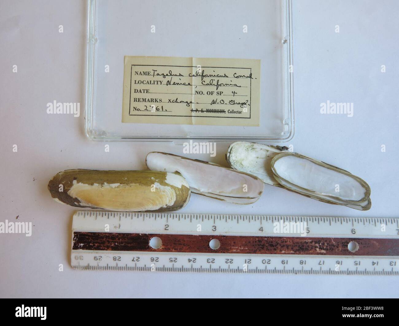 20188 hi-res stock photography and images - Alamy