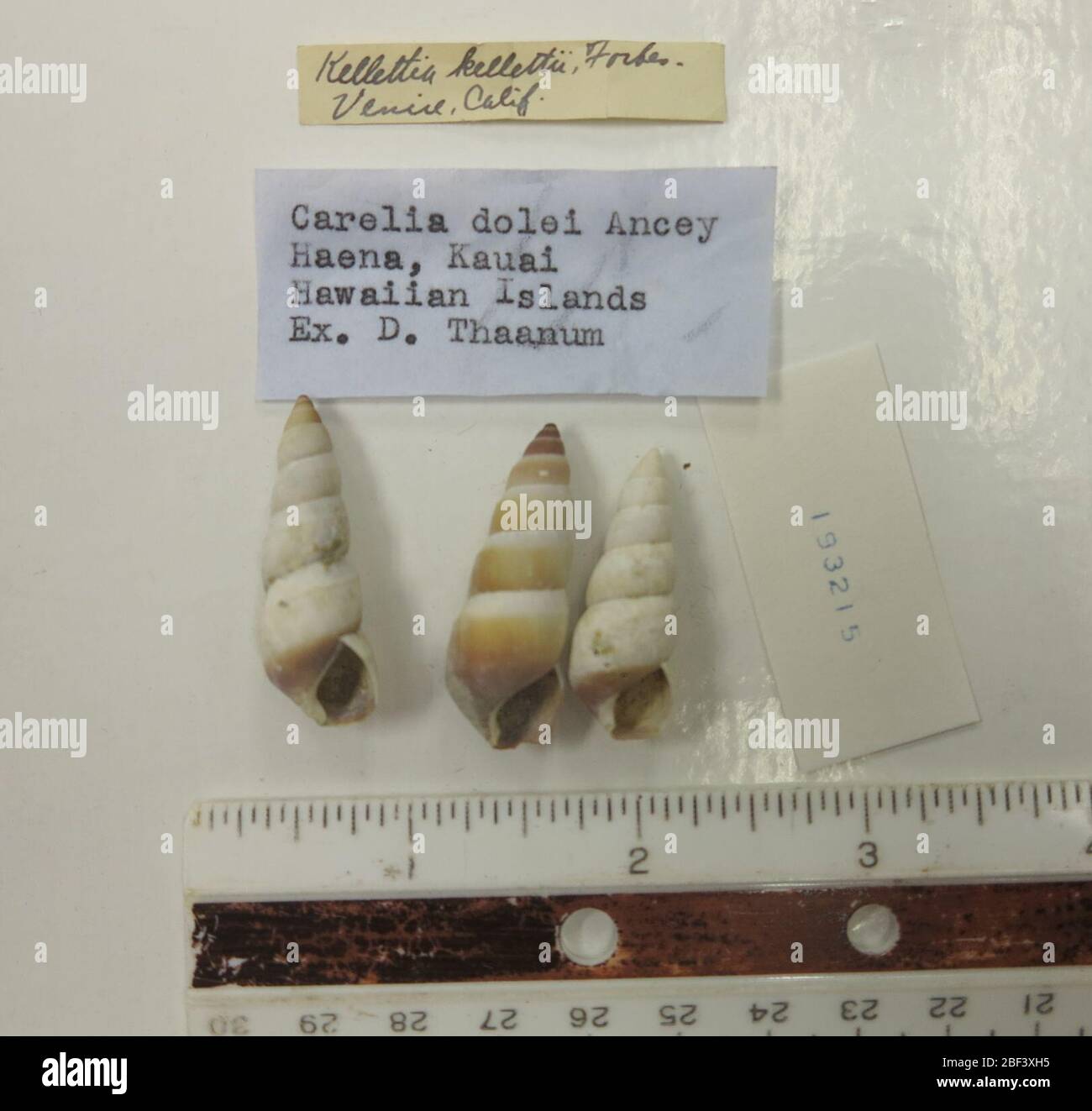 8202016 hi-res stock photography and images - Alamy