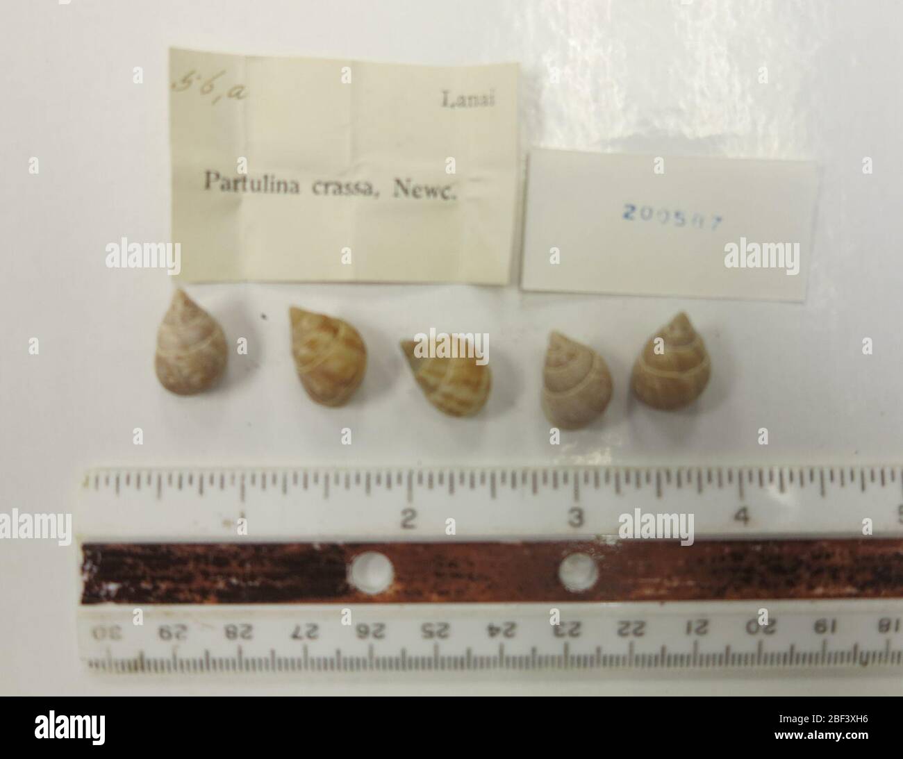 20165 hi-res stock photography and images - Alamy