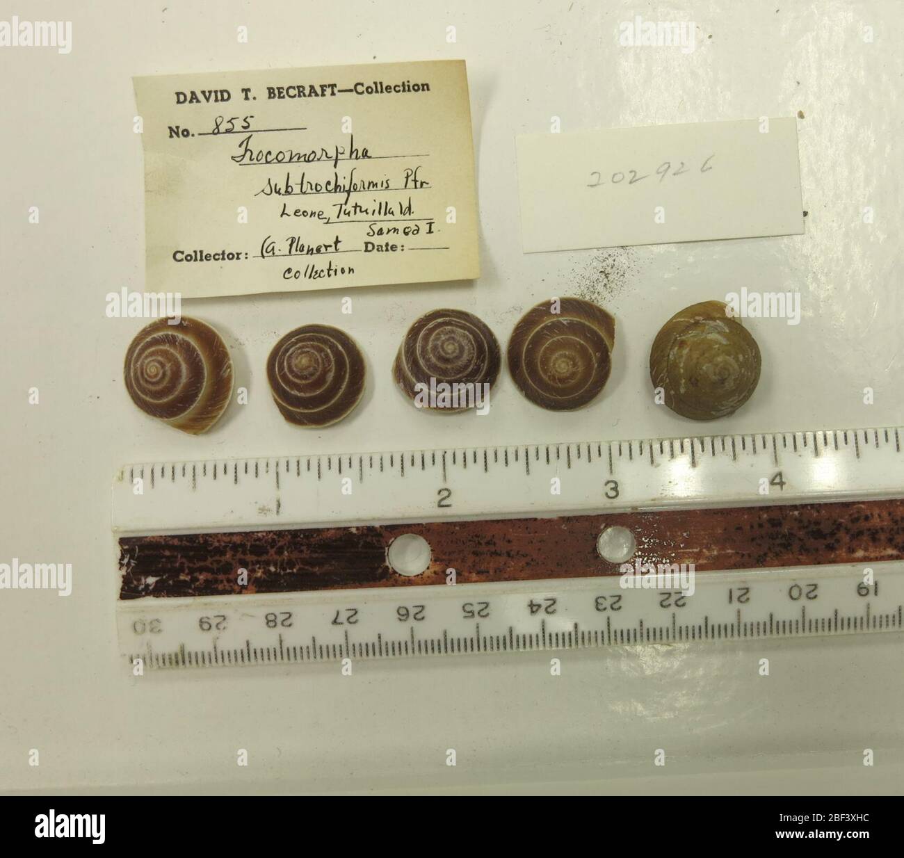 8202016 hi-res stock photography and images - Alamy