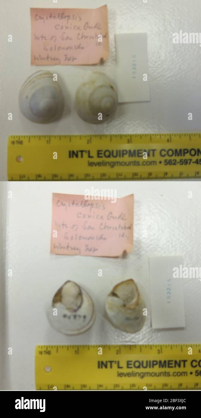 8202016 hi-res stock photography and images - Alamy