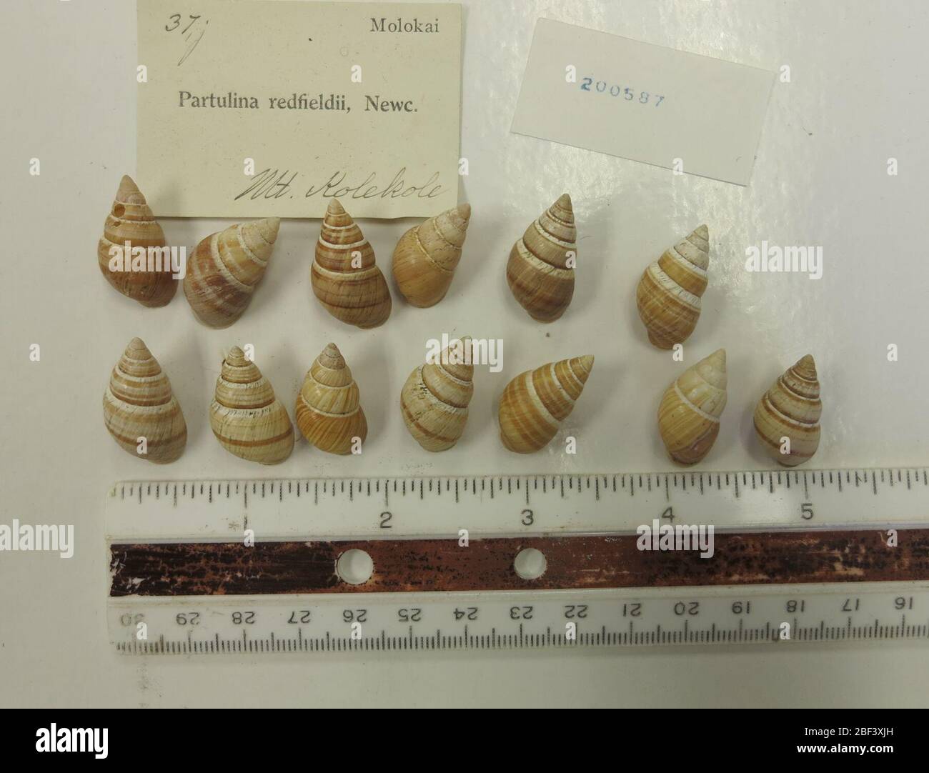 201613 hi-res stock photography and images - Alamy