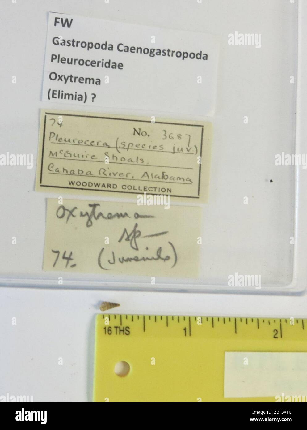 26 jun hi-res stock photography and images - Alamy