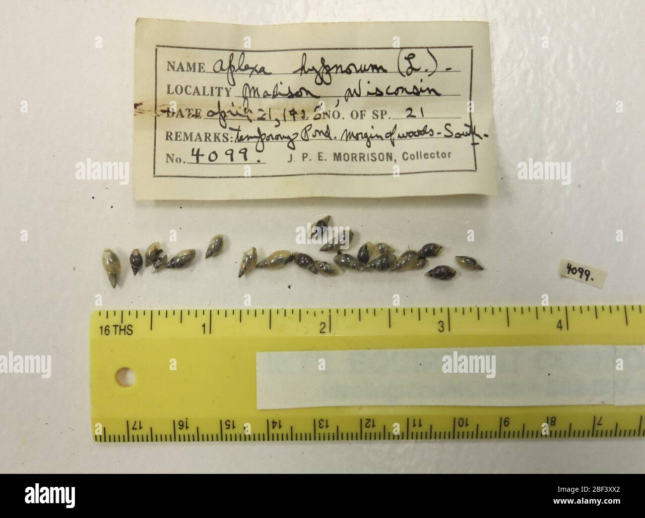 20202 hi-res stock photography and images - Alamy