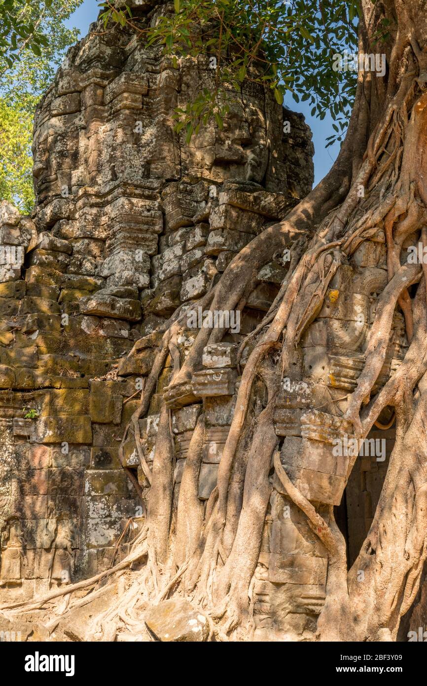 Ta Som Temple, Angkor Park, Siem Reap, Cambodia Stock Photo - Alamy