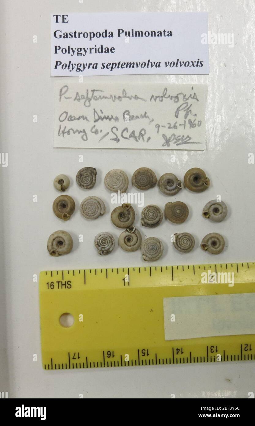 201718 hi-res stock photography and images - Alamy