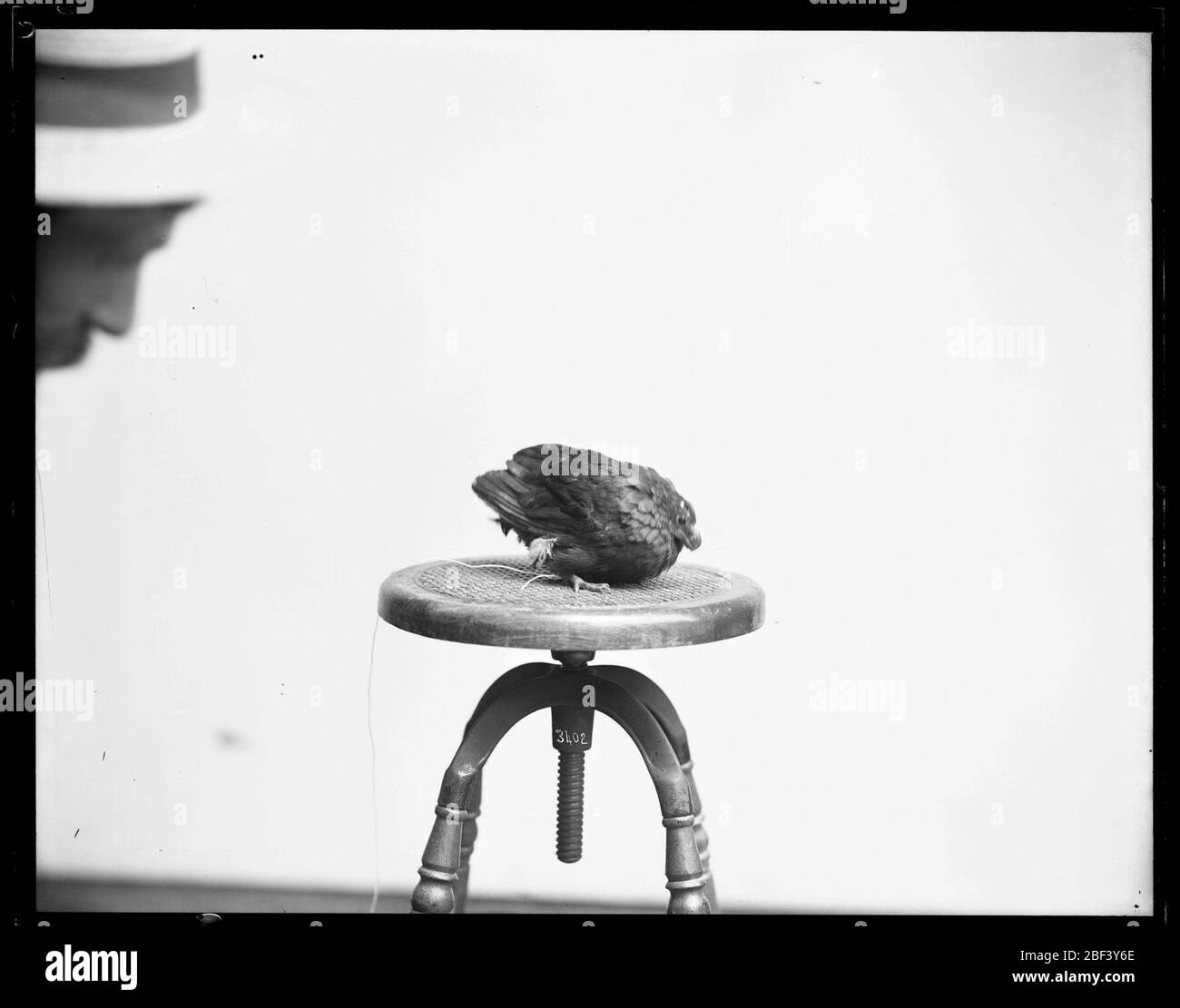 Gallery stool Black and White Stock Photos & Images - Alamy