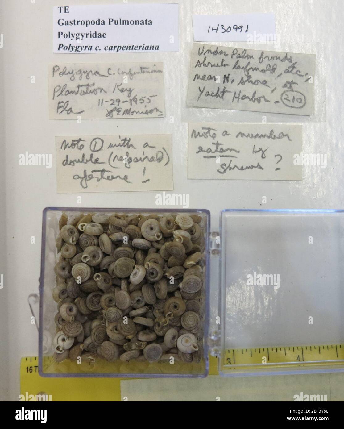 Note a hi-res stock photography and images - Alamy