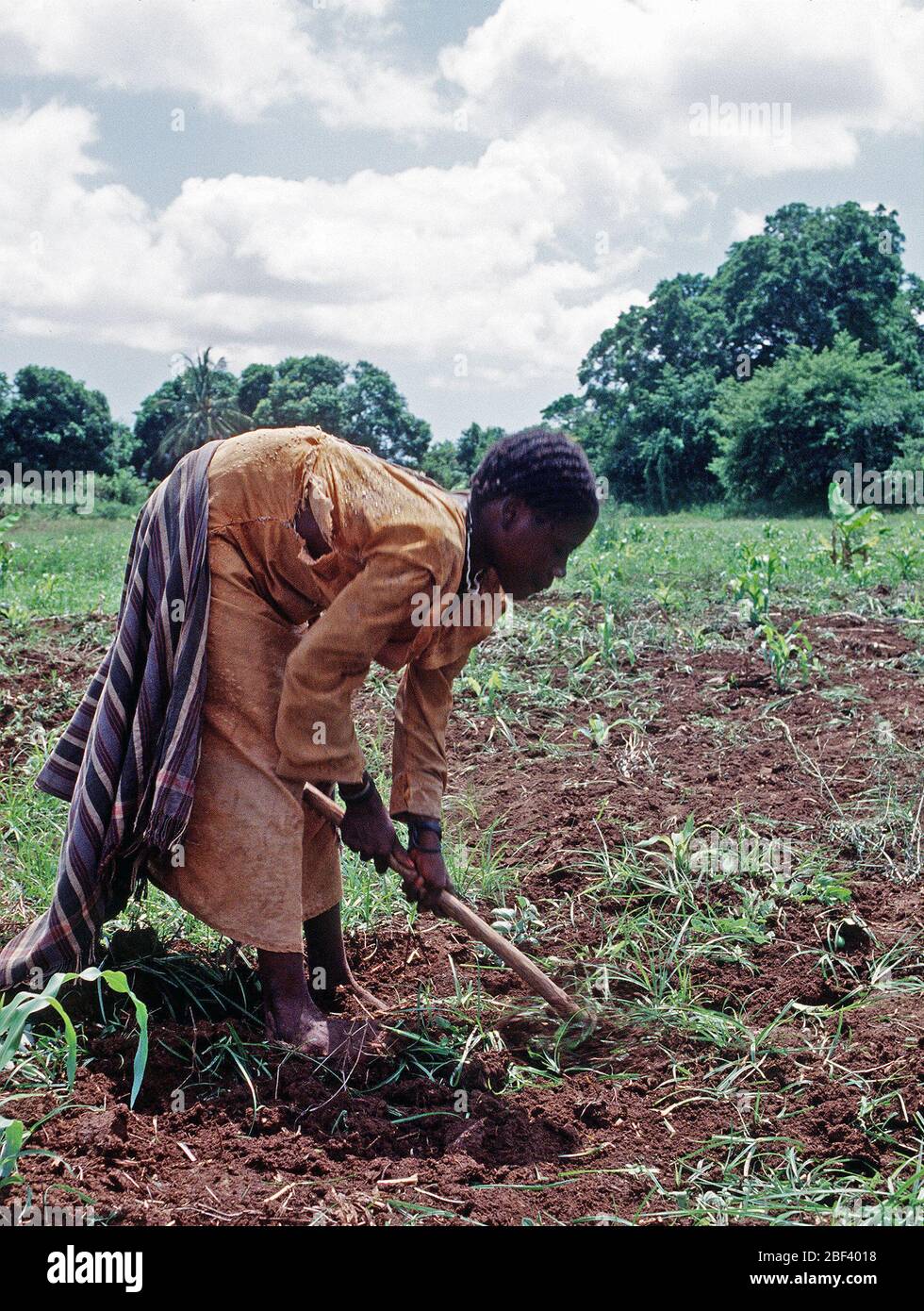 1990s somali woman hi-res stock photography and images - Alamy